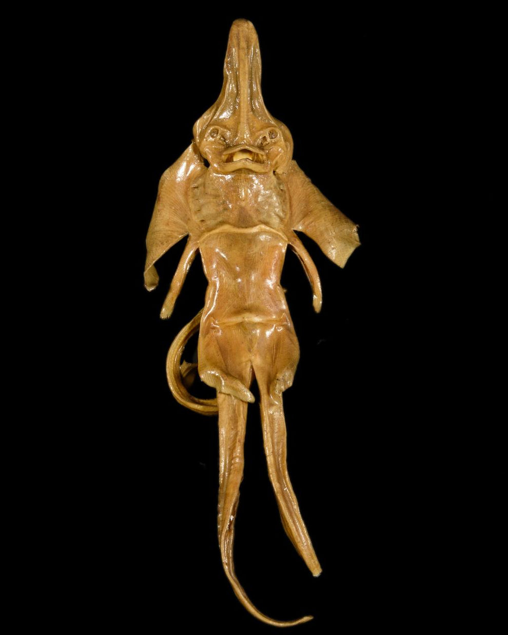 JENNY HANIVER 1 | RELICS