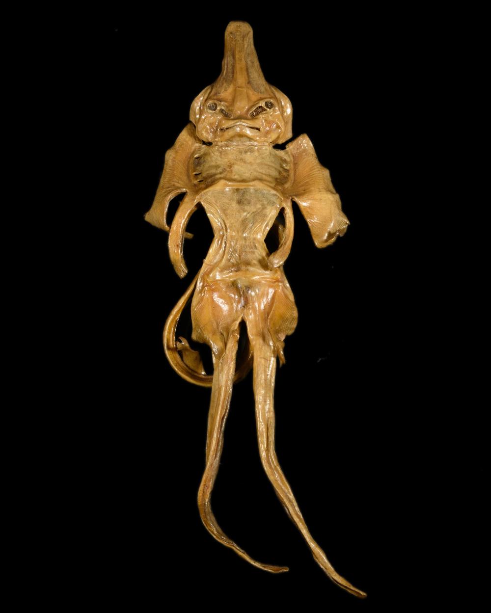 JENNY HANIVER 2 | RELICS