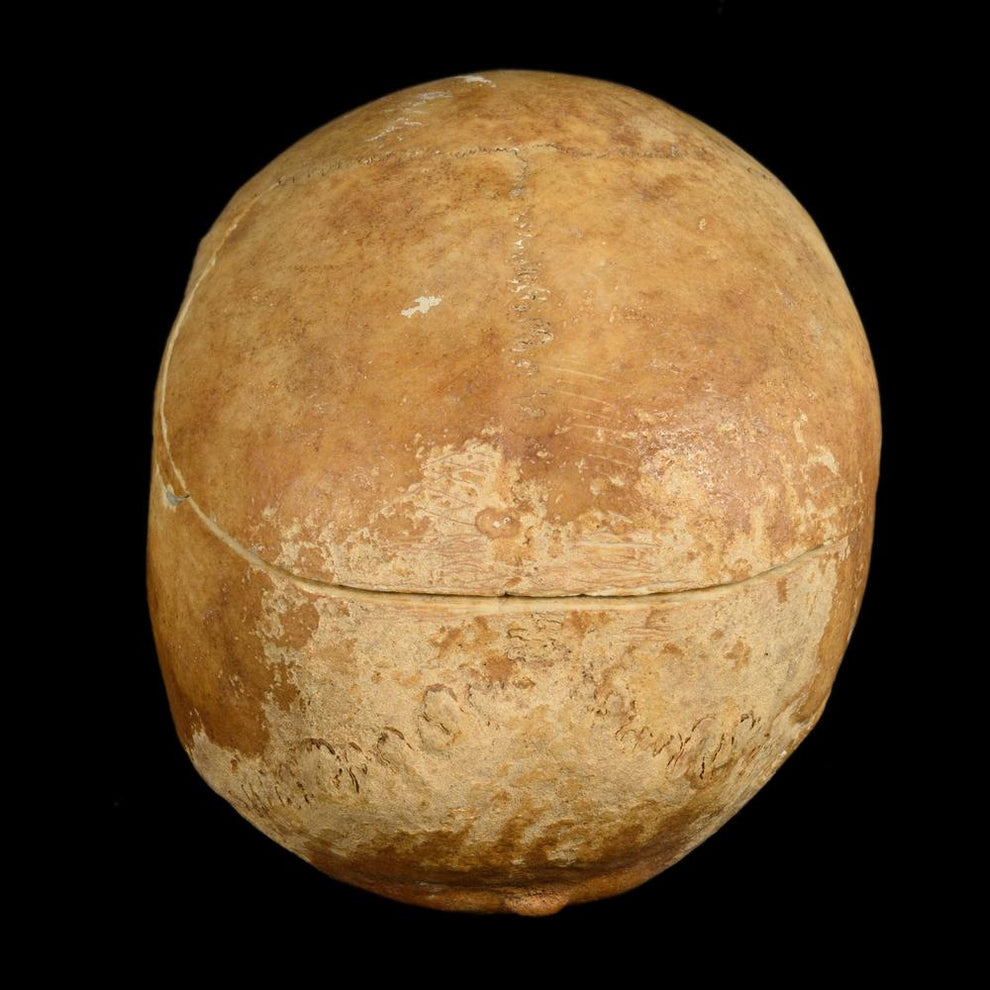 CRANE MEDICAL | RELICS